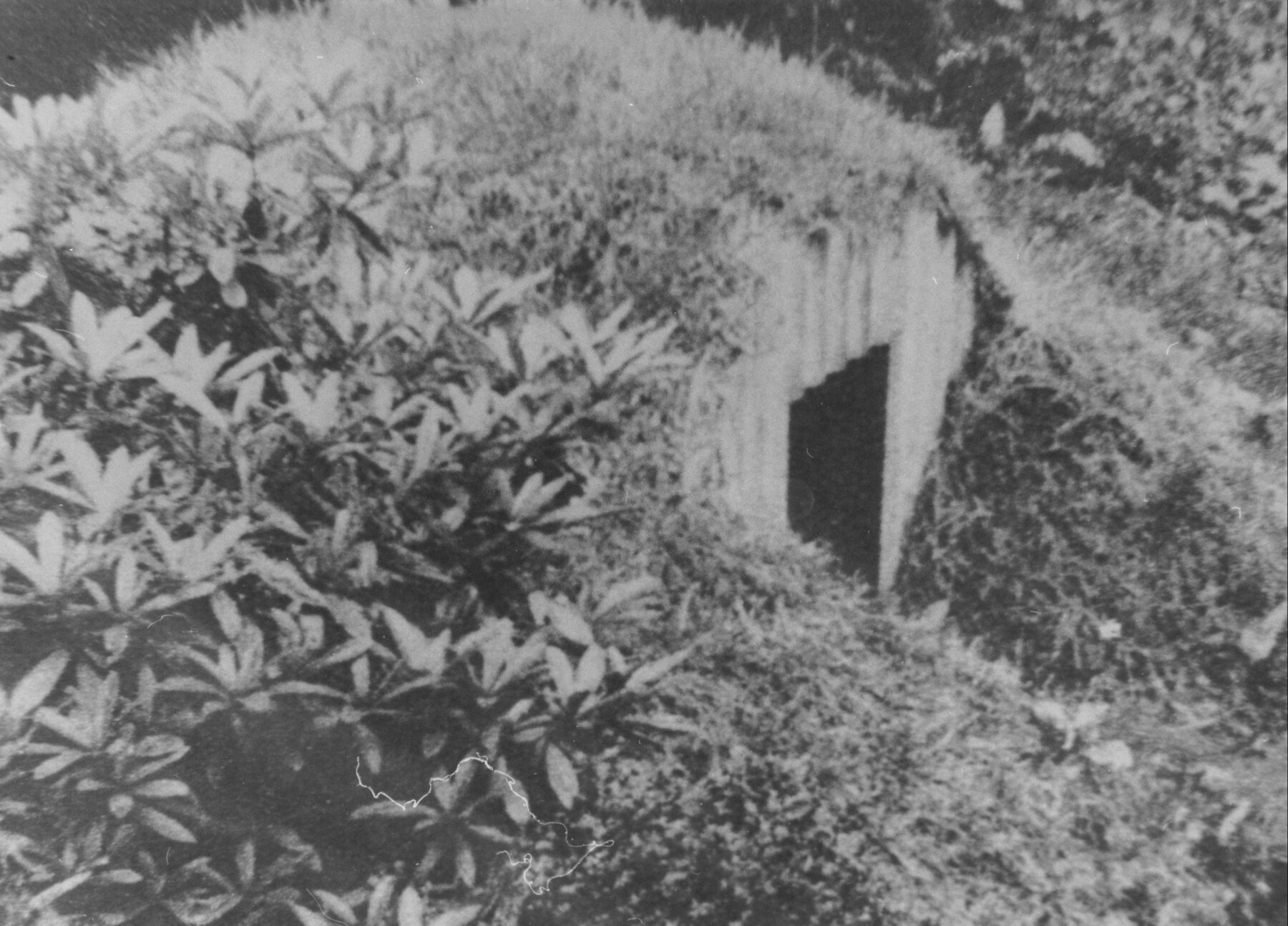 Anderson Shelter